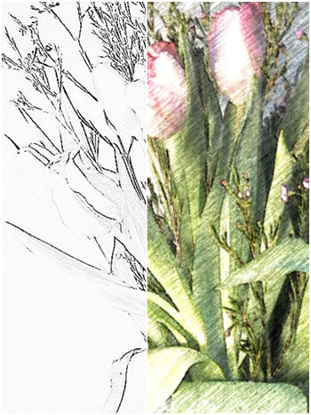 How to Create Coloring Pages from Your Photos